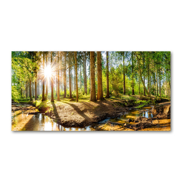 Union Rustic Panorama des Waldes - Kunstdrucke auf Leinwand | Wayfair.de